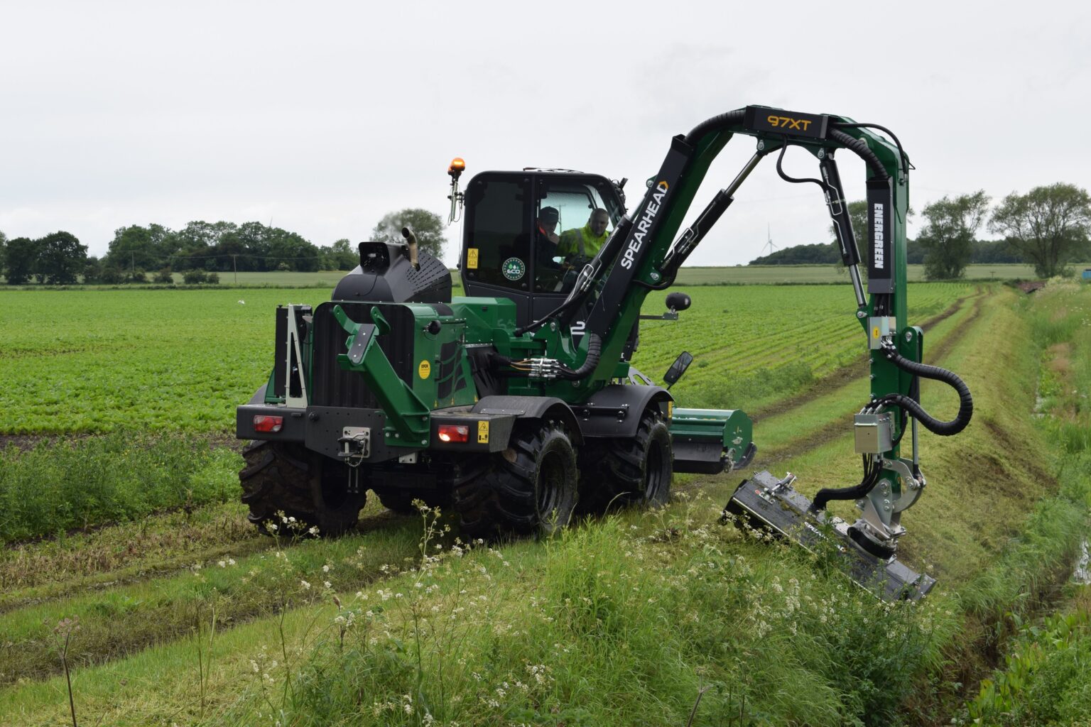 How Does the Management Group Work?